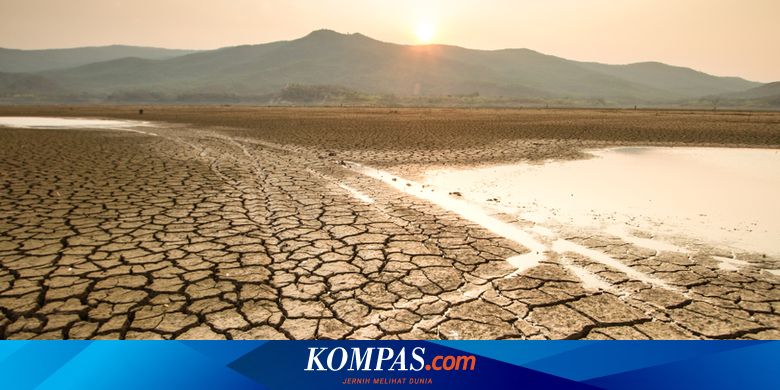 Bagaimana El Nino Dapat Memengaruhi Cuaca Ekstrem dan Gelombang Panas?