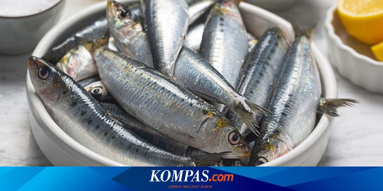 3 Jenis Ikan yang Kaya Omega 3 Namun Rendah Kandungan Merkuri