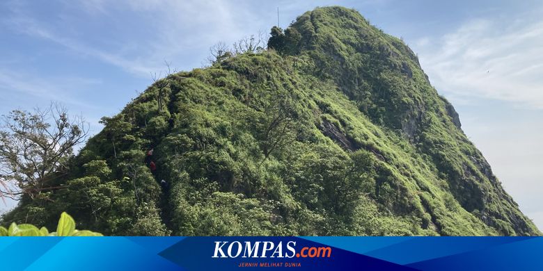 9 Alasan Gunung Parang di Purwakarta Cocok untuk Pendaki Pemula
