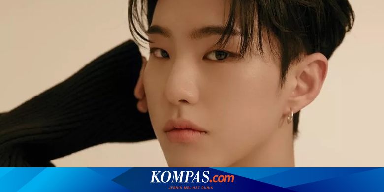 Profil dan Biodata Hoshi Seventeen