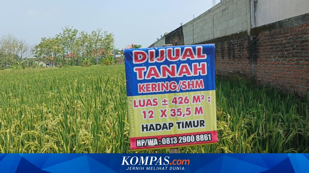 Cek Status Tanah Bisa Pakai Jasa Kantor Notaris PPAT