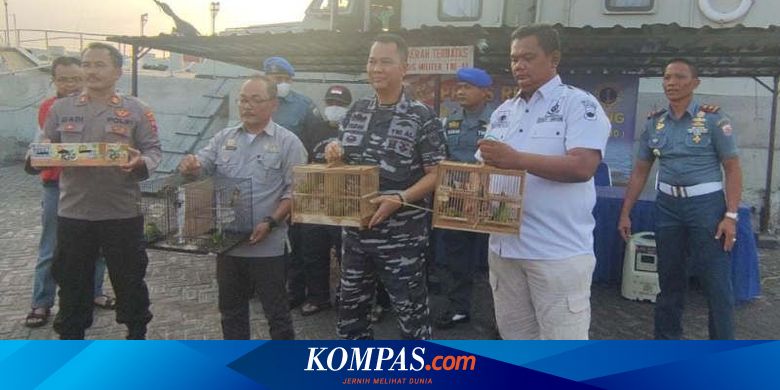 Selundupkan 50 Burung Cucak Ijo dan Kapas Tembak, ABK Kapal Bermuatan CPO Diamankan