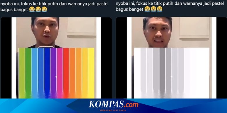 Viral Video Ilusi Optik soal Perubahan Warna Pastel, Ini Penjelasannya
