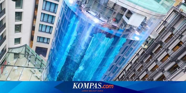5 Fakta Pecahnya Akuarium Raksasa di Jerman: Ikan Selamat Bertahan di ...