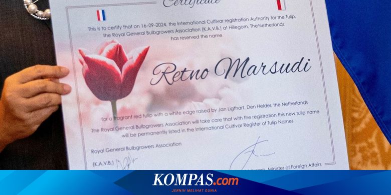 Retno Marsudi Jadi Nama Bunga Tulip di Belanda, Kemenlu: "Pleasant ...