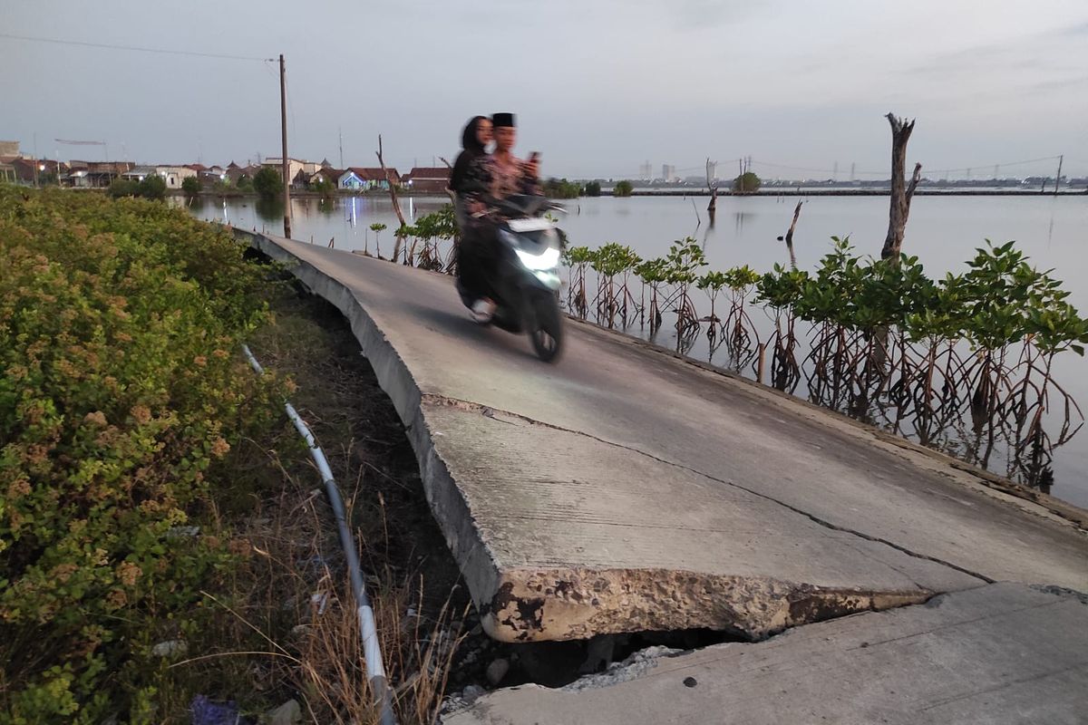Ganasnya Banjir Rob Sayung Demak, Patahkan Jalan Cor Beton Kabupaten