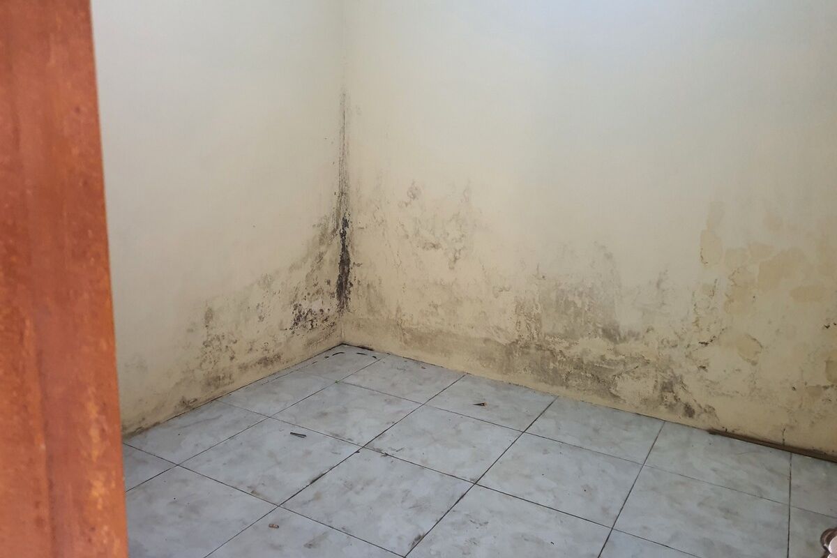 Pengakuan Pemuda di Bantul yang Bunuh Pacar dan Simpan Mayatnya 6 Bulan