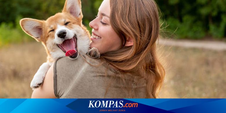 7 Cara Anjing Menunjukkan Kasih Sayang pada Pemiliknya, Salah Satunya ...
