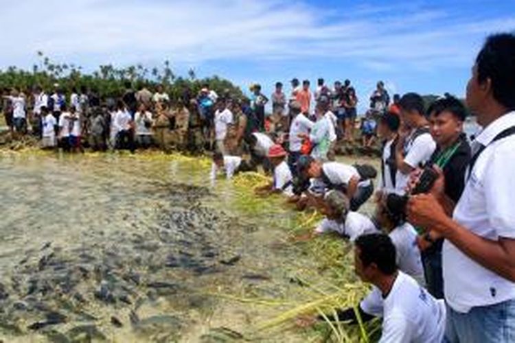 Ribuan Orang Tangkap Ikan Bersama dalam Festival Mane'e di Talaud