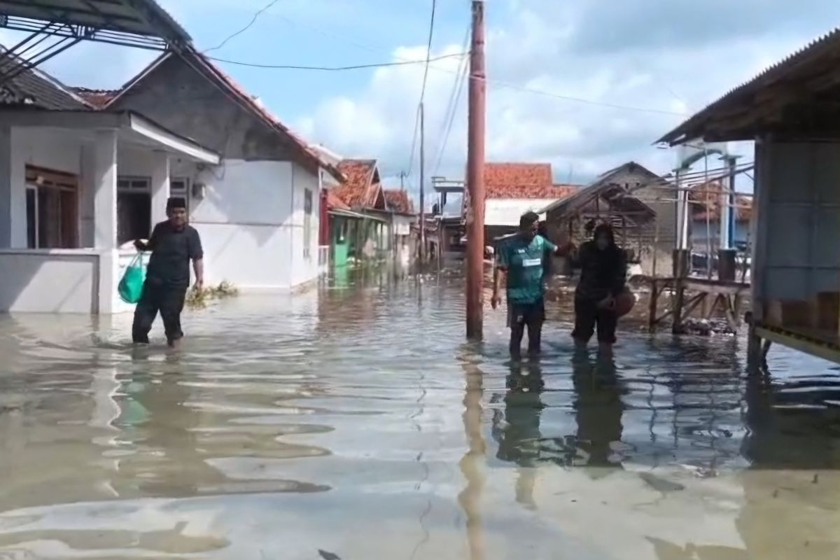 Tiga Pulau di Sumenep Terendam Banjir Rob, Ratusan Rumah Terdampak
