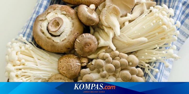 FDA di Amerika Serikat Gunakan Magic Mushroom untuk Obati Depresi