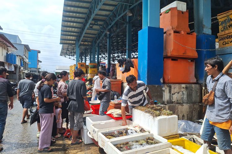 Berita Terkini Harian Perbaikan Fasilitas Pasar Ikan Muara Angke ...