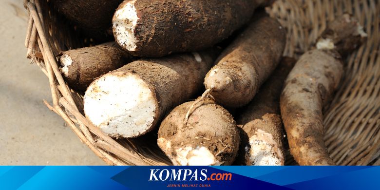 Soekarno, Presiden yang Sadar Pentingnya Keberagaman Makanan Pokok ...