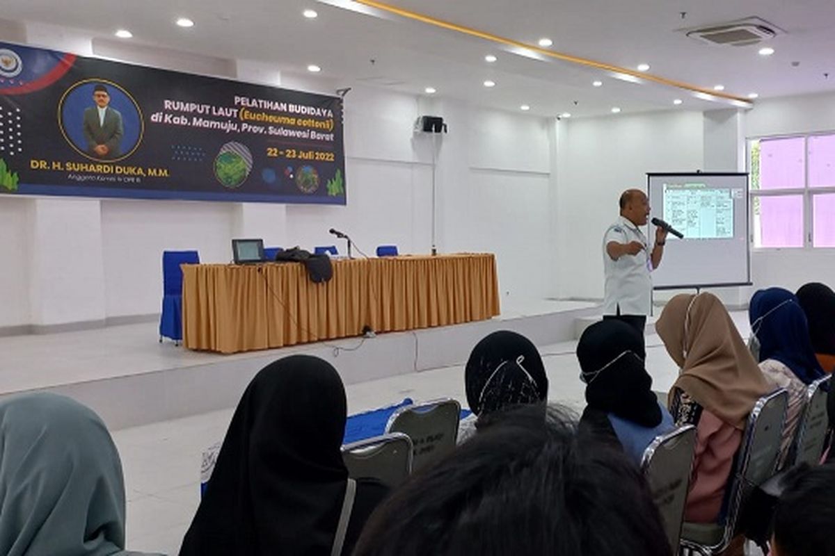 Tingkatkan Ekspor Rumput Laut, Kementerian KP Gelar Pelatihan untuk Para Pembudidaya