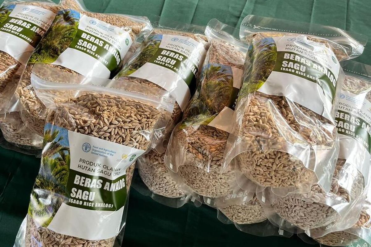 Melihat Pengolahan Sagu di Kampung Yoboi Jayapura, dari Manual ke Modern