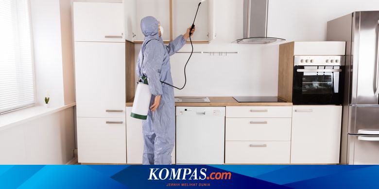 4 Tips Ampuh Membasmi Rayap di Dapur