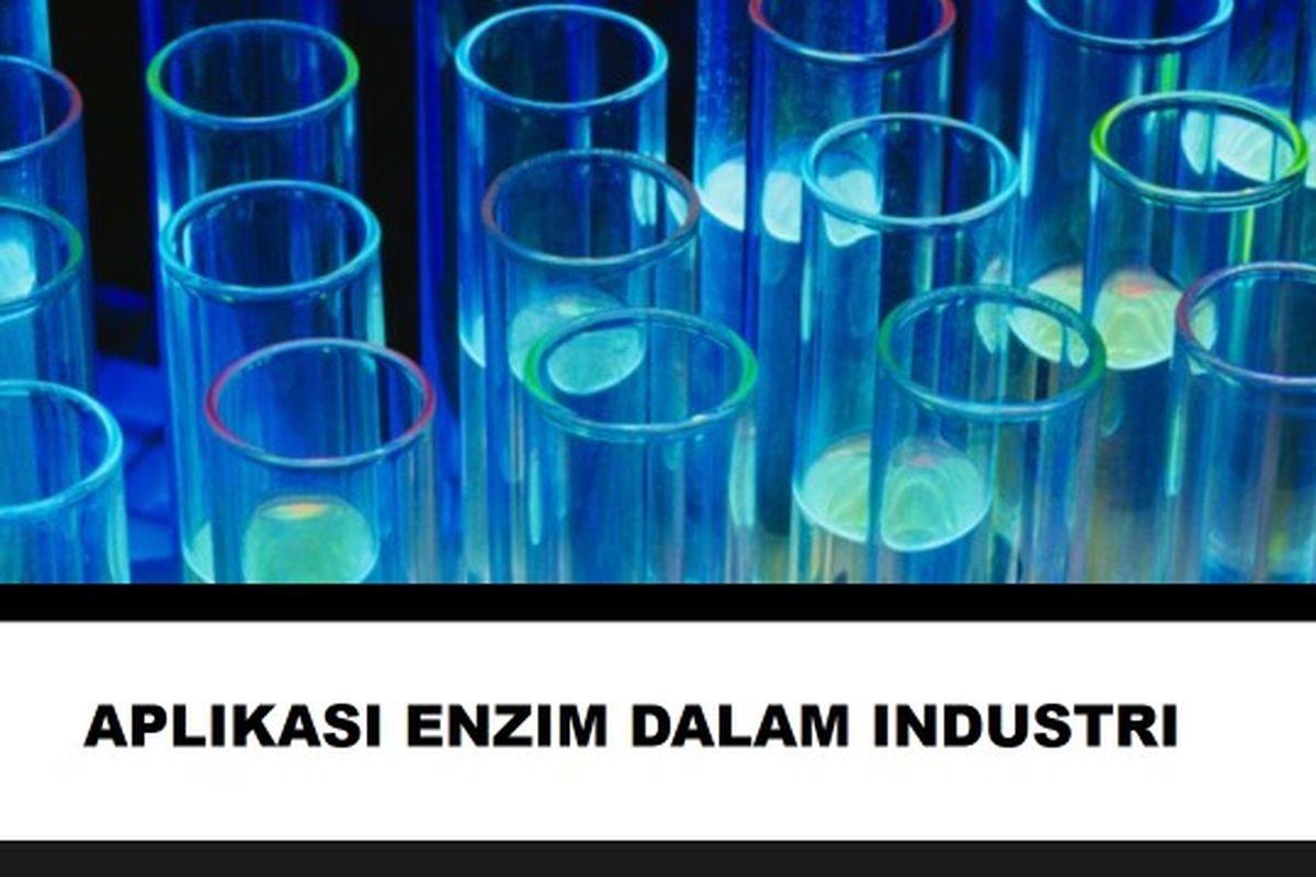 Aplikasi Enzim dalam Industri: Proses Produksi dan Contoh Enzimnya