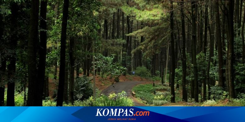 Wisata Alam Gunung Pancar di Sentul, Bisa Apa Saja?