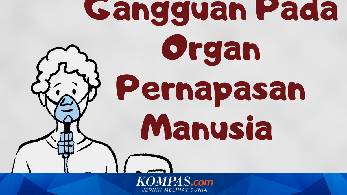 14 Penyakit yang Menyerang Organ Pernapasan