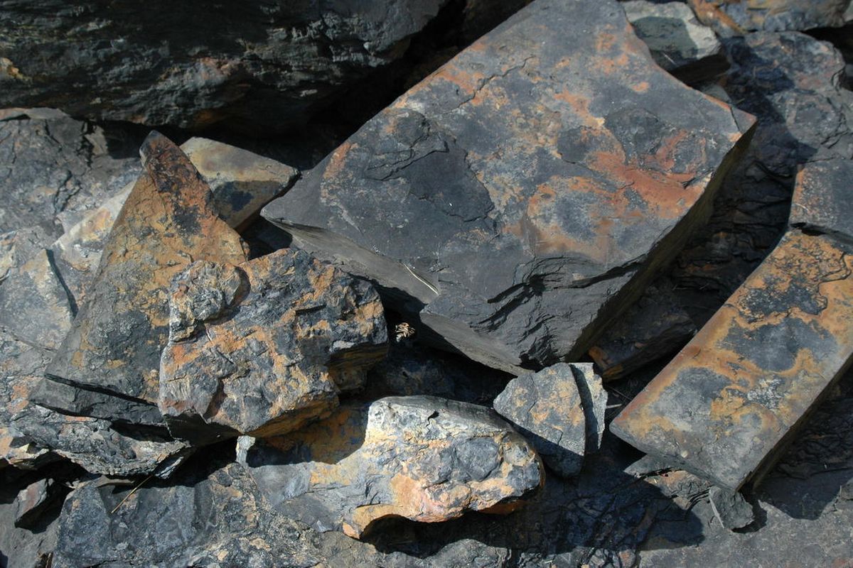 Daerah Penghasil Batu Bara di Indonesia