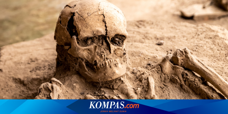 Temuan Baru Fosil Manusia Purba Berusia 140.000 Tahun di Dasar Selat Madura