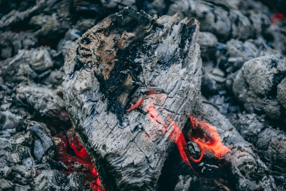 Manfaat Abu Kayu Sebagai Media Tanam dan Cara Menggunakannya