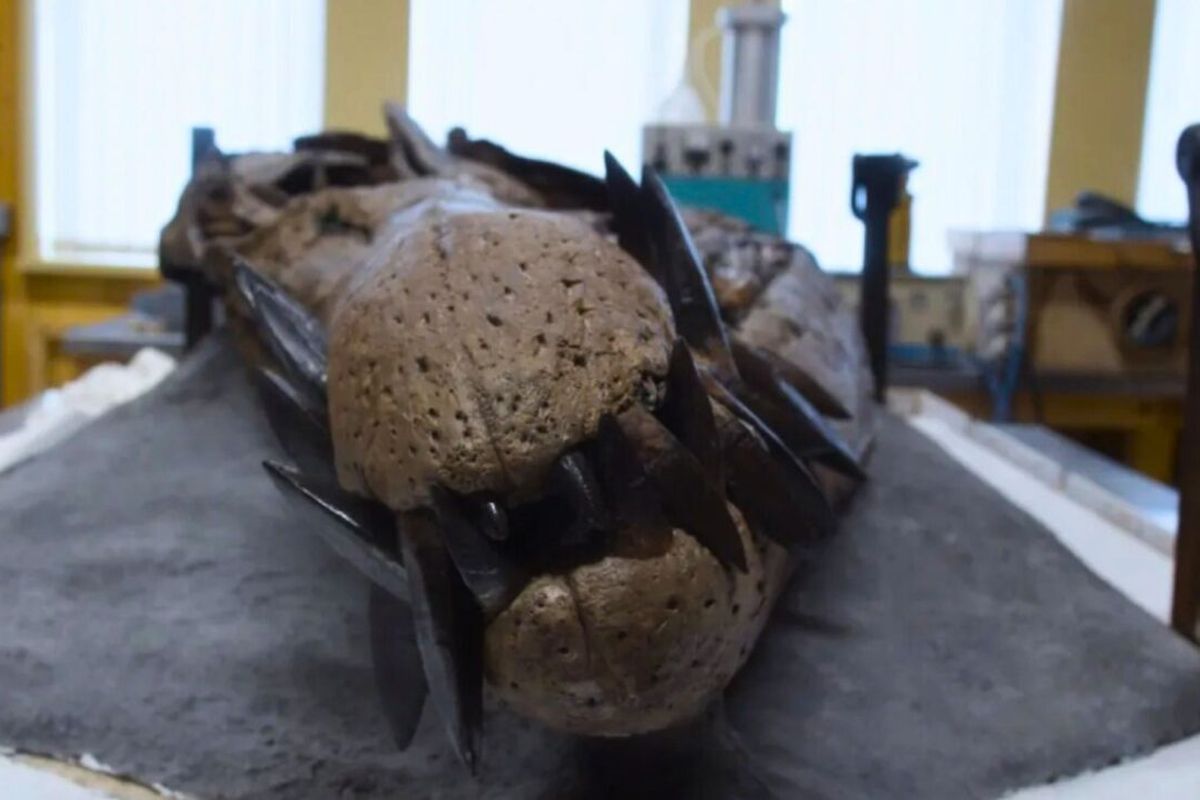 Fosil Monster Laut Raksasa Ditemukan, Gigitannya Mengalahkan T-Rex