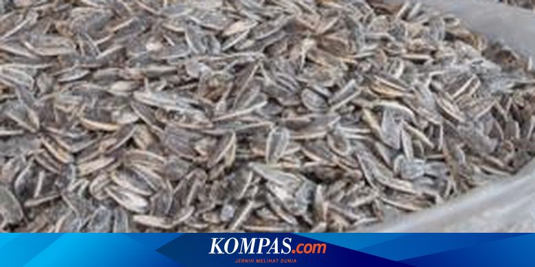 6 Manfaat Kuaci untuk Kesehatan