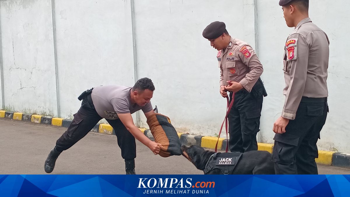 Maksimalkan Kerja Anjing Penjaga, "Handler" Perlu Disertifikasi