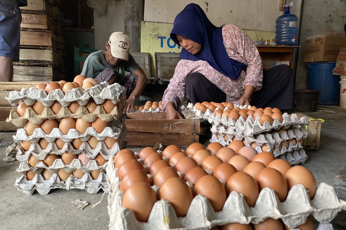 Harga Telur dan Daging Ayam di Indramayu Melejit Jelang Ramadhan, Warga ...