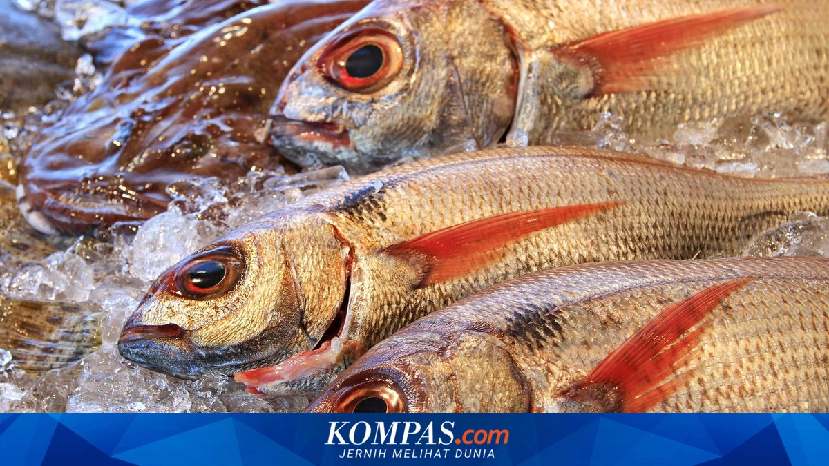 3 Cara Bersihkan Ikan agar Tak Amis Tanpa Lemon