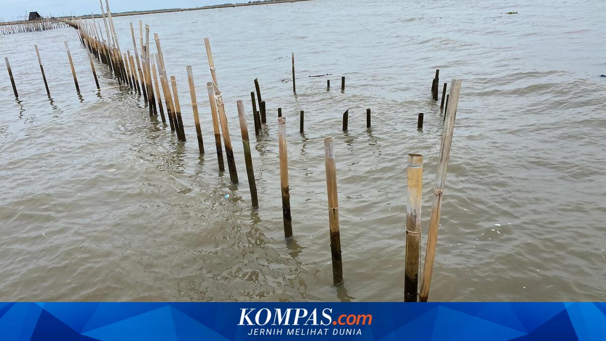 "Misteriusnya" Pagar di Laut Tangerang, Sudah Disegel tapi Pemiliknya ...