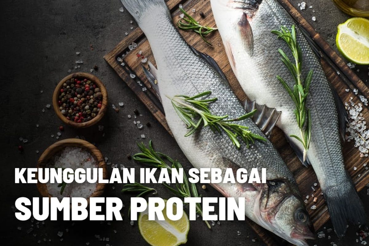 Keunggulan Ikan Sebagai Sumber Protein Hewani