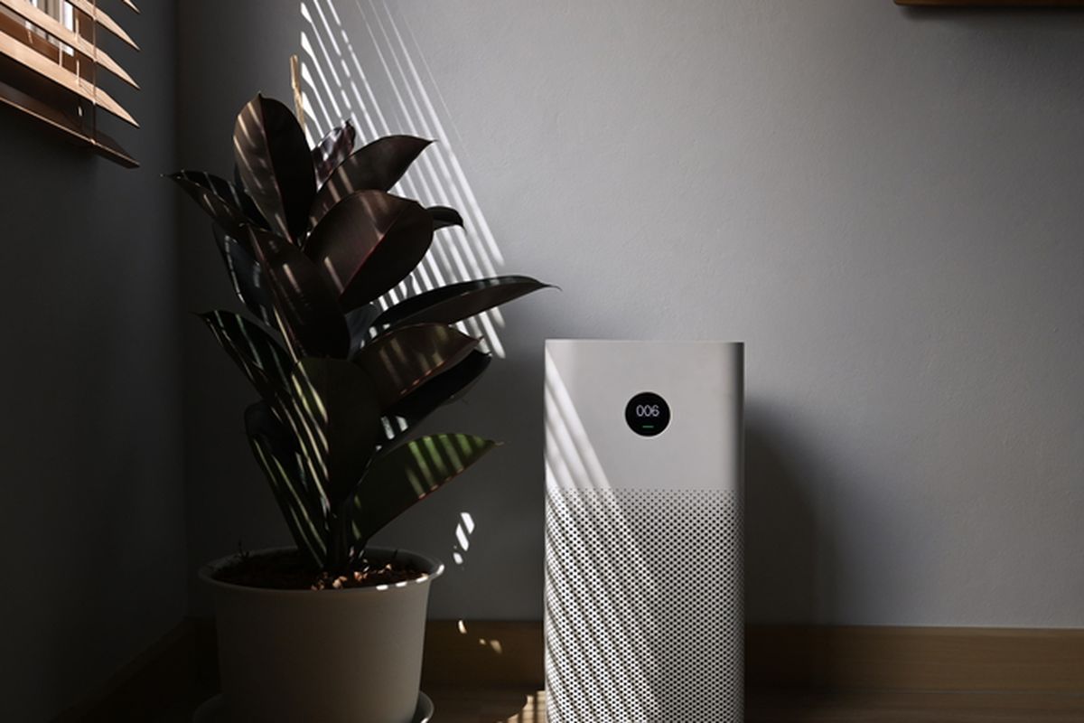 5 Tips Menggunakan Air Purifier agar Bekerja Maksimal dan Tahan Lama