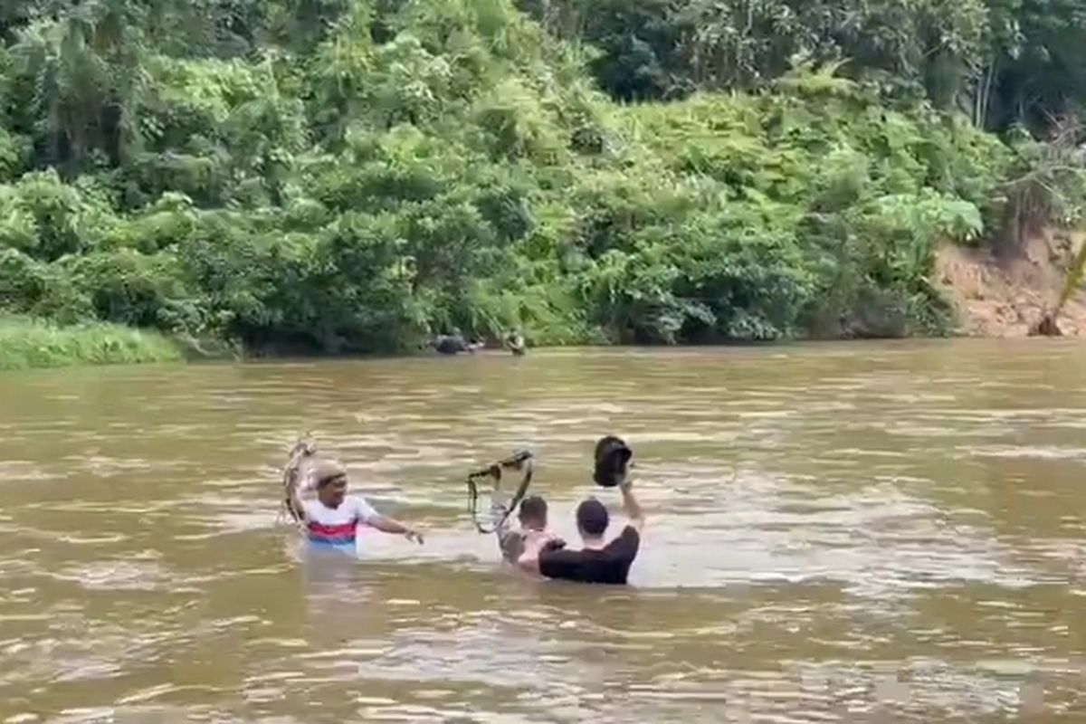 Cerita Polisi Tangkap 7 Perambah Hutan Riau, Lewati Sarang Harimau hingga Terjang Sungai Deras