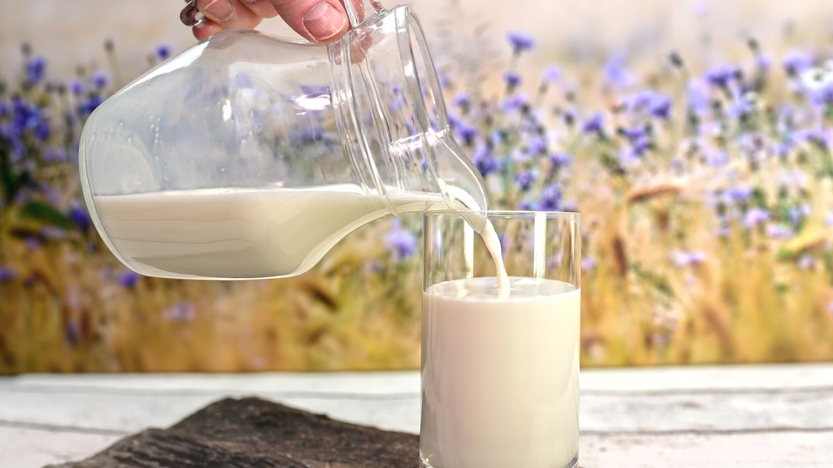 Susu Pertumbuhan dan Kental Manis Sama-sama Disebut “Susu”, Tapi Apa ...