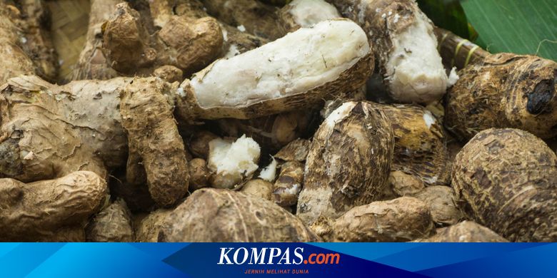 Apa Itu Gembili? Umbi yang Dipilih Oleh Putri MasterChef Indonesia