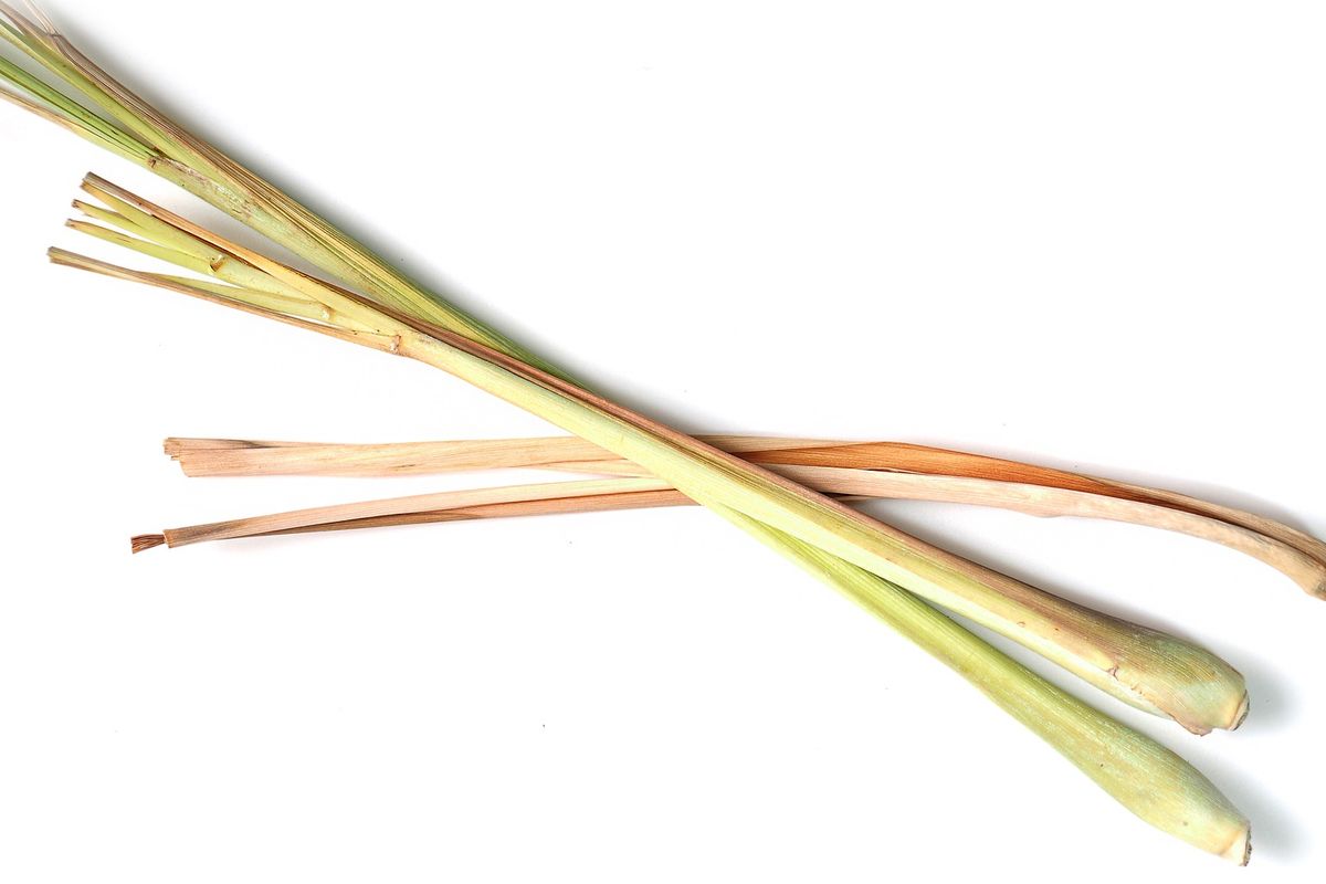 10 Khasiat Sereh untuk Kesehatan