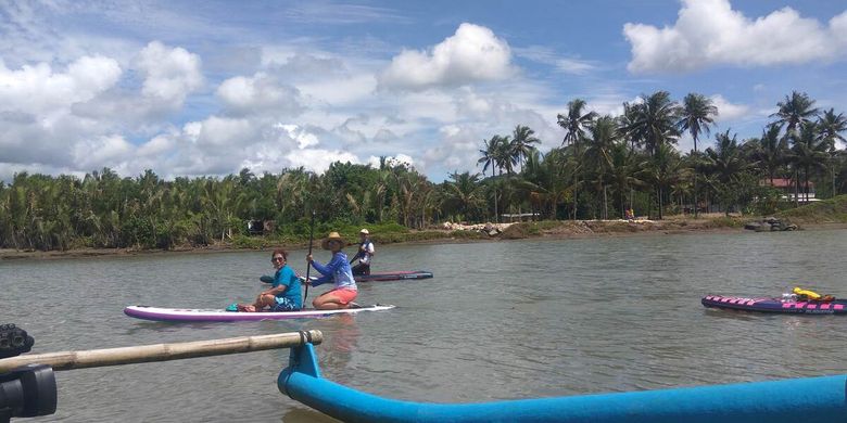 Berita Terkini Harian Moratorium Pembabatan Lahan Mangrove Terbaru Hari ...