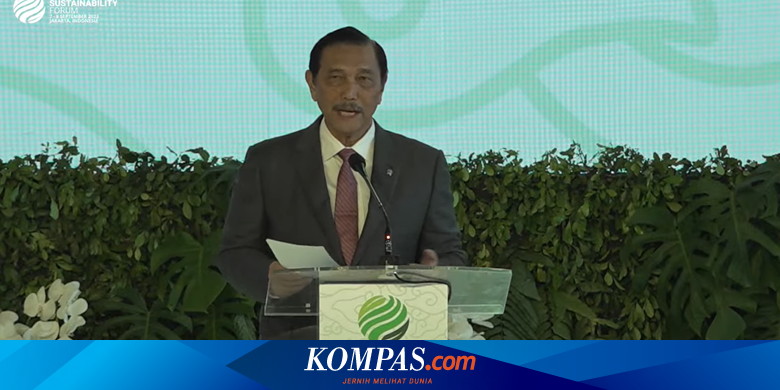 Ada Konflik di Pulau Rempang, Luhut Harap Xinyi Group Tak 