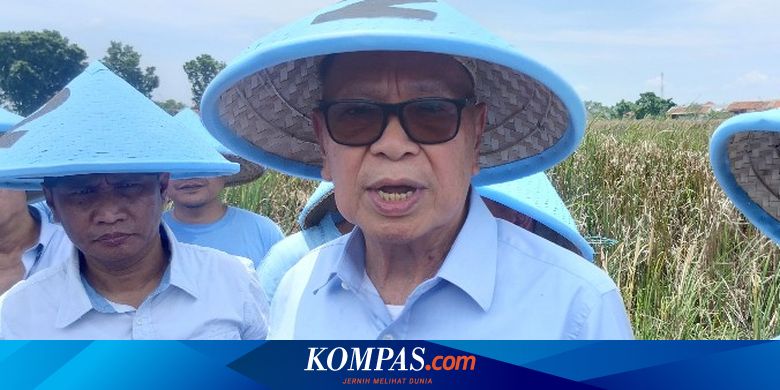 Profil Glenny Kairupan, Dirut Baru Garuda Indonesia Pengganti Wamildan ...