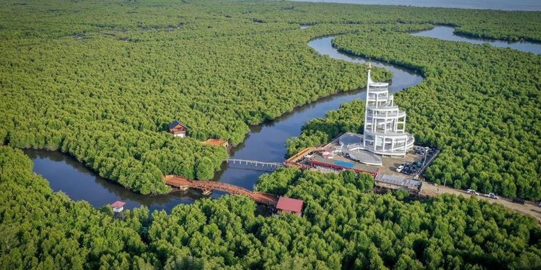 New Observatory Tower amid Southeast Asia’s Largest Mangrove Forests ...