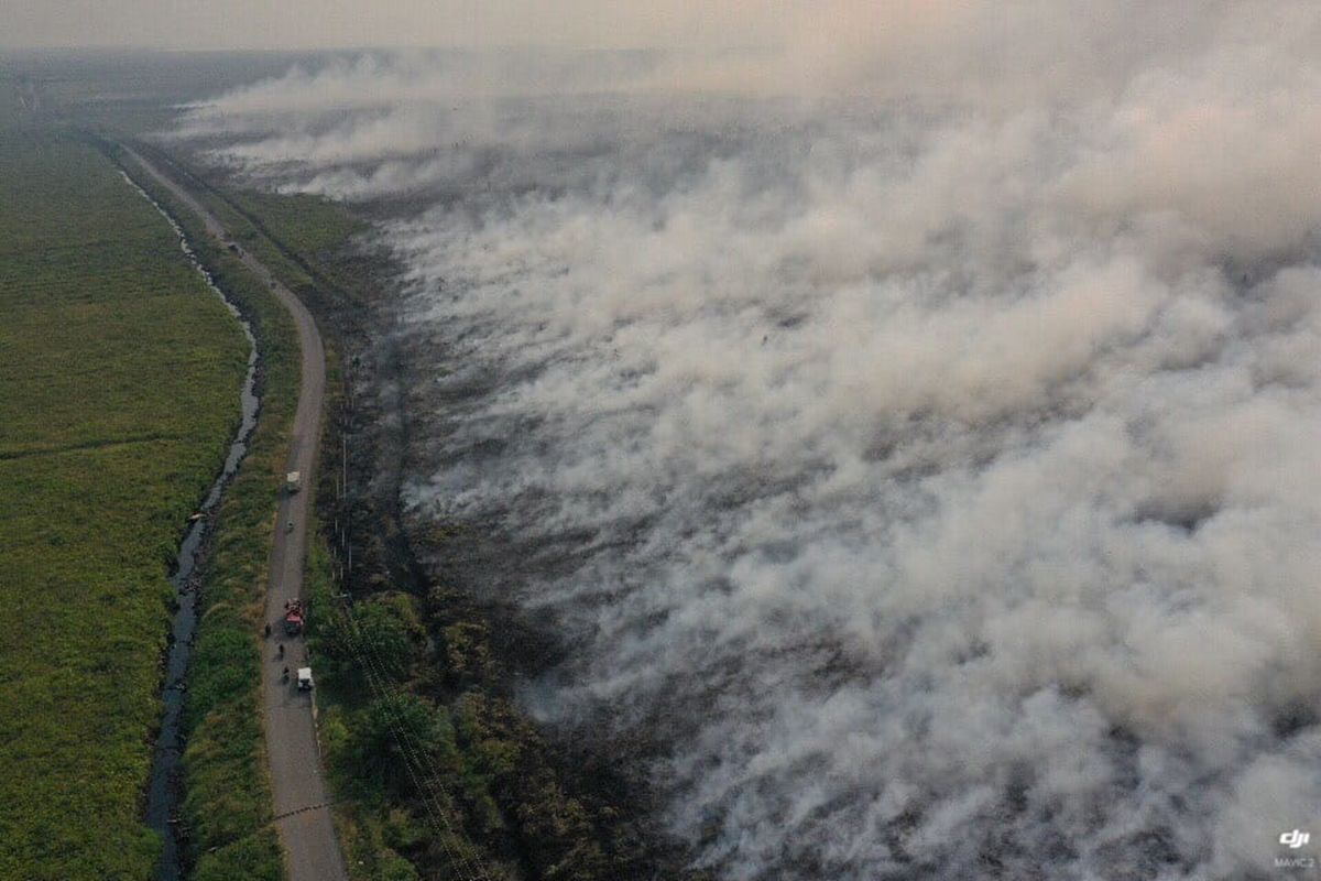 Asap Kebakaran Hutan di Sumatra dan Kalimantan Menyebar hingga ke ...