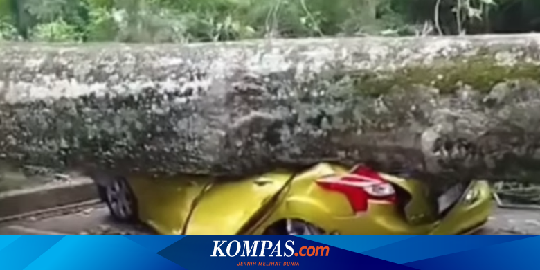 Mobil Tertimpa Pohon Tumbang Bisa Klaim Asuransi?