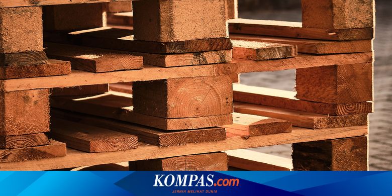Ini Empat Jenis Kayu yang Umum Dipakai Bangun Rumah