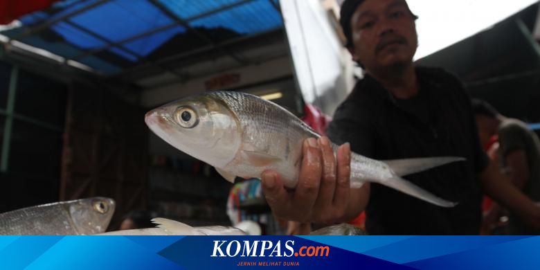 6 Cara Pilih Bandeng yang Segar dan Enak untuk Dimasak