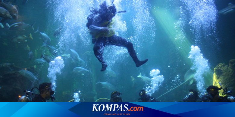 4 Acara untuk Habiskan Long Weekend Minggu Ini di Ancol
