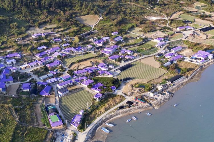 Unik, Ada Pulau Berwarna Ungu di Korea Selatan