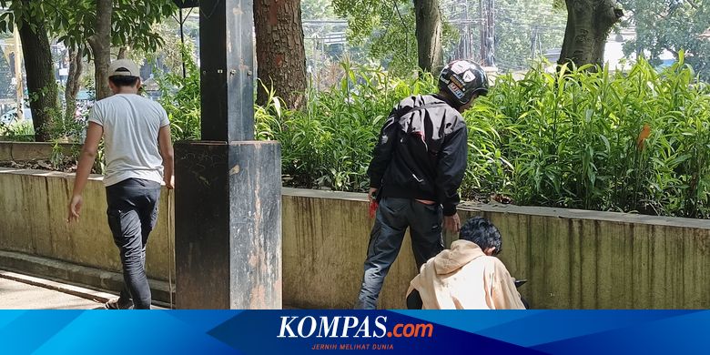 Koin Jagat, Homo Ludens, dan Homo Digitalis