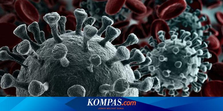 7 Cara Mencegah Penularan Virus Corona Varian Baru Menurut Ahli